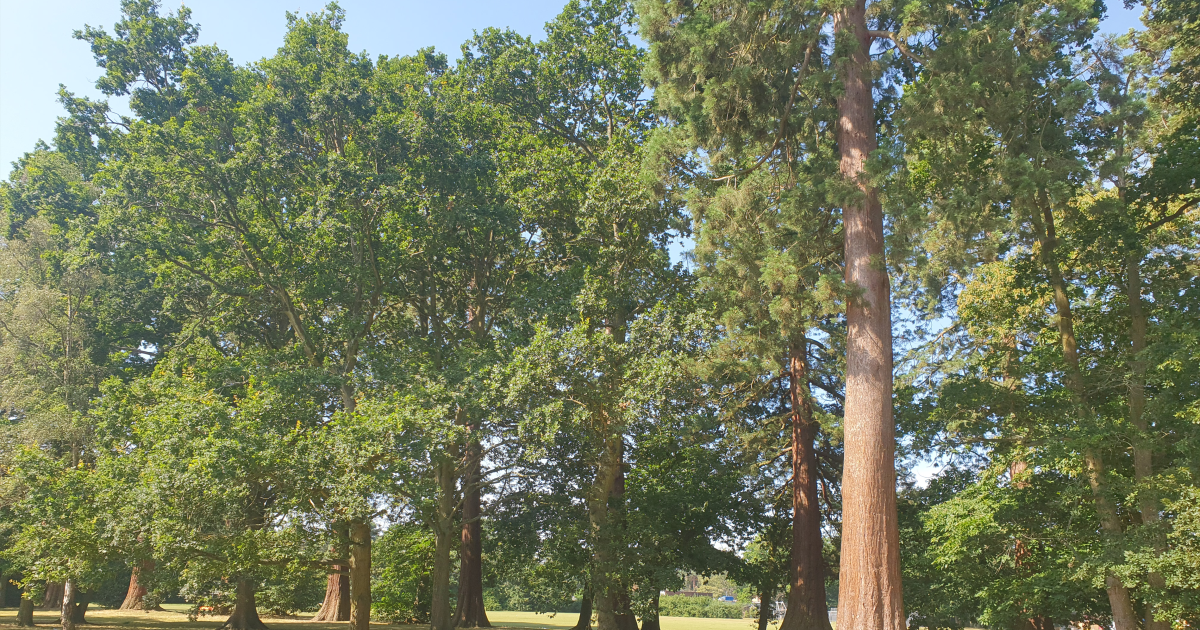 Parks and play areas | Surrey Heath Borough Council