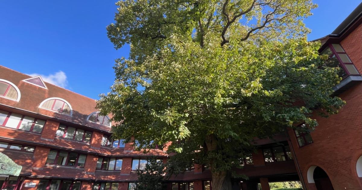 Woodend Road Car Park Sale and Public Access Secured Through 2026 ...
